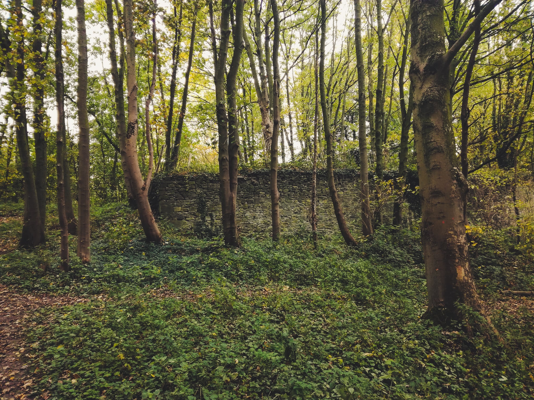 Kasteelpark Lembeek | Stad Halle